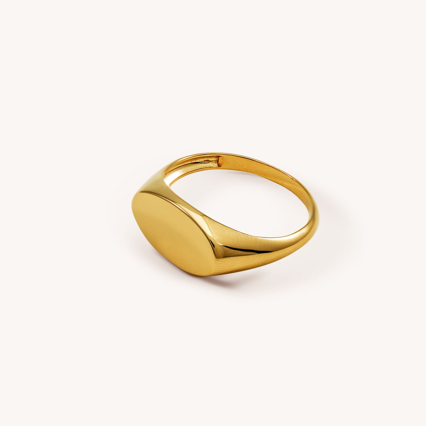 Signet Ring – Naut & Chain